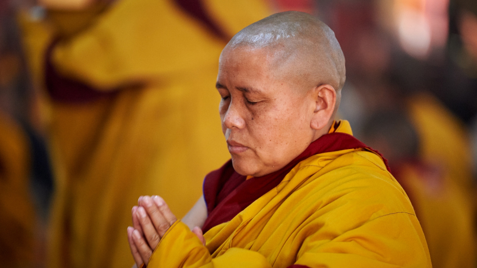 Benefitting Others The Balance Between Benefit And Harm Karmapa